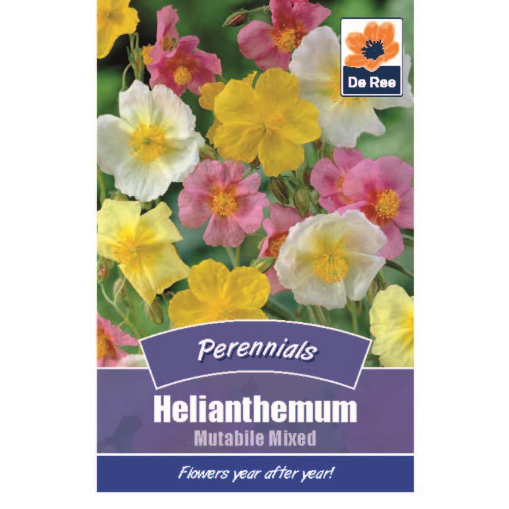 De Ree Helianthemum Mutabile Mixed Seeds