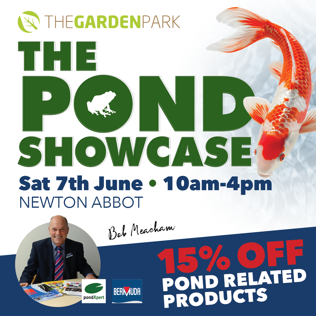 The Pond Showcase